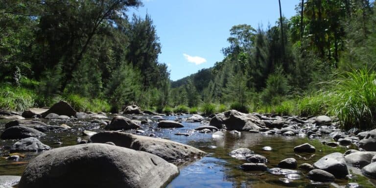 Visit the Capricorn Region & Gladstone - Queensland Travel Guide