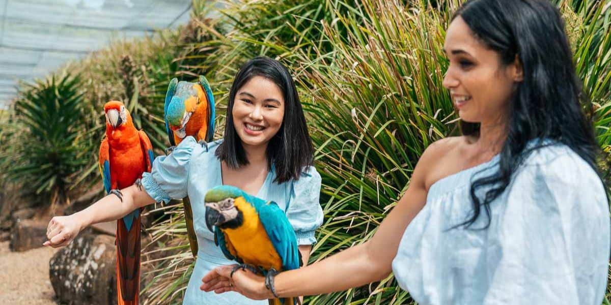 Best things to do in Maroochydore - Queensland Travel Guide