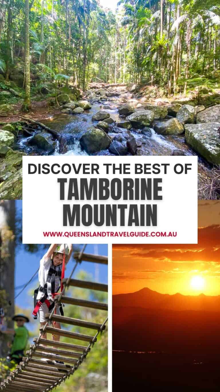 Best things to do in Mount Tamborine - Queensland Travel Guide