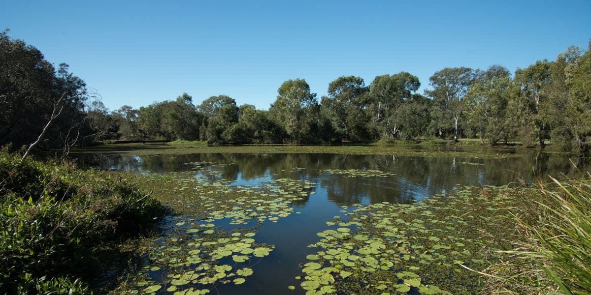 Best things to do in Bundaberg - Queensland Travel Guide