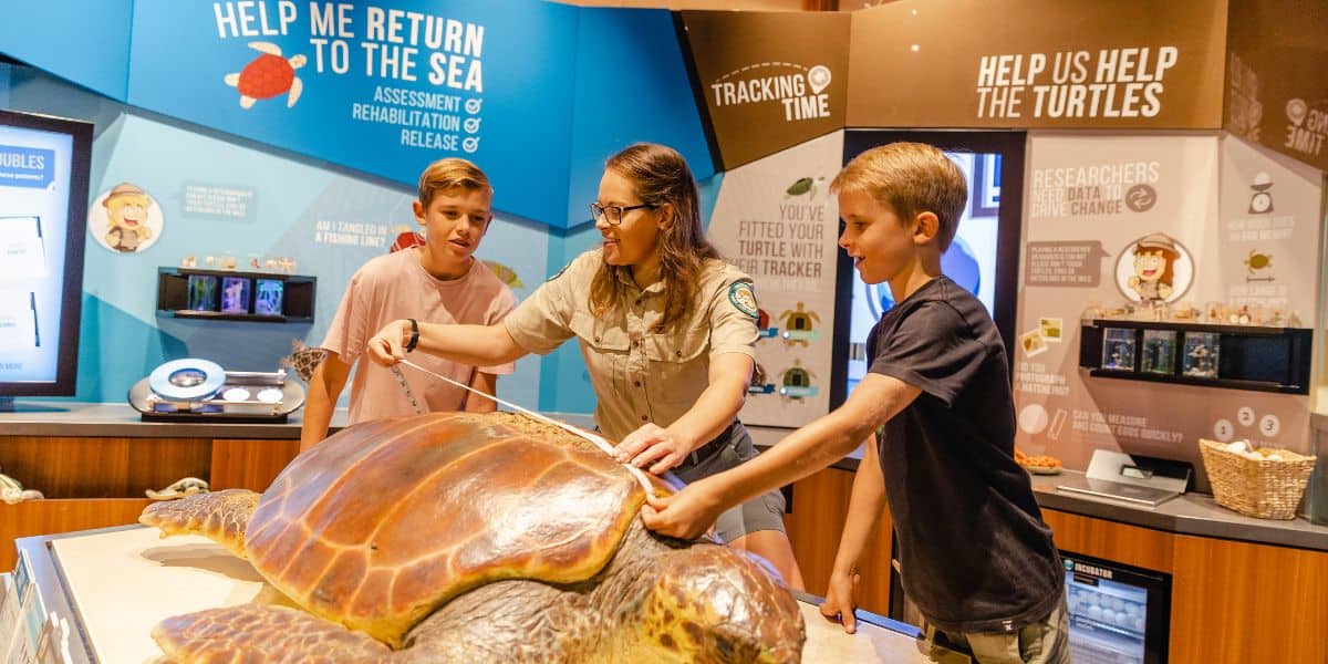 Best things to do in Bundaberg - Queensland Travel Guide