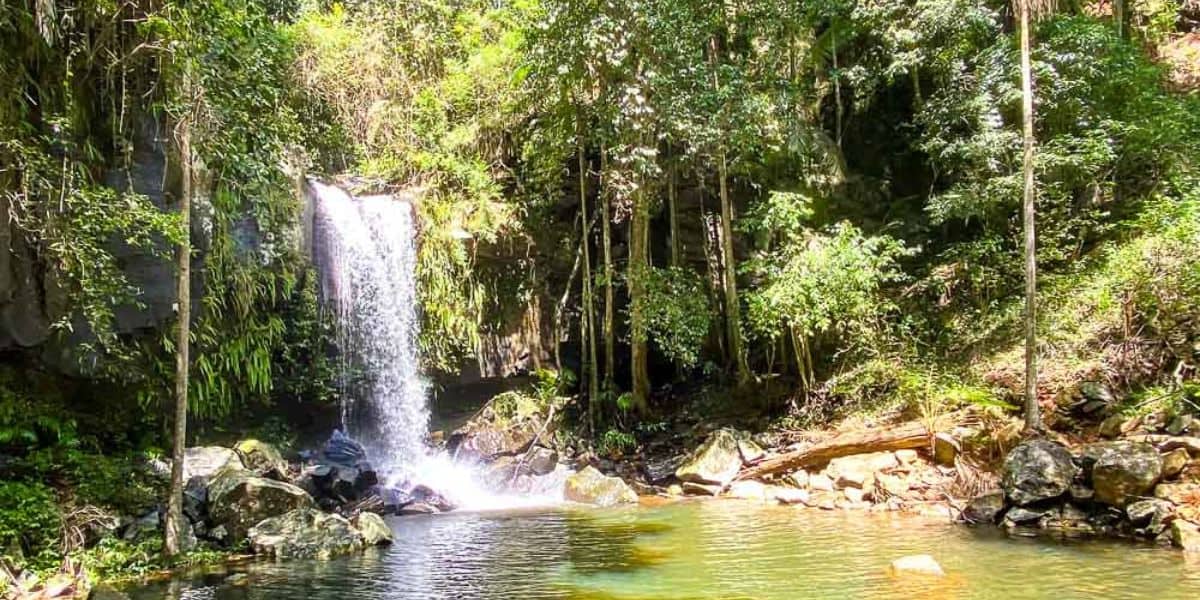 Best things to do in Mount Tamborine - Queensland Travel Guide