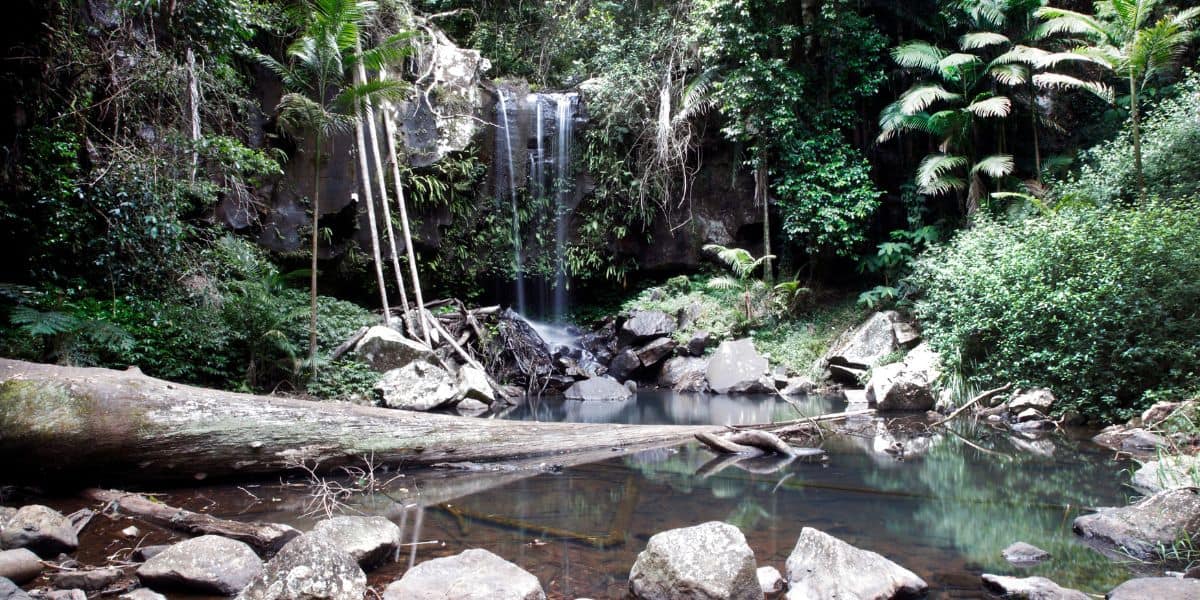 Best things to do in Mount Tamborine - Queensland Travel Guide