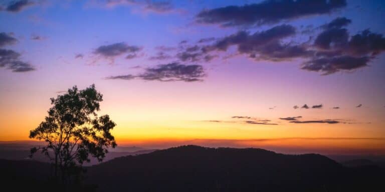 Best things to do in Mount Tamborine - Queensland Travel Guide