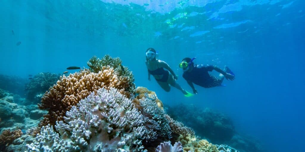 Best things to do on Hamilton Island - Queensland Travel Guide