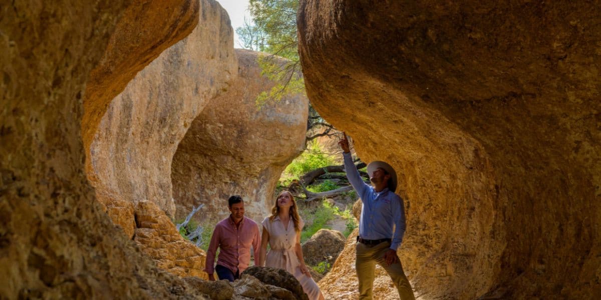Best Things to do in Winton - Queensland Travel Guide