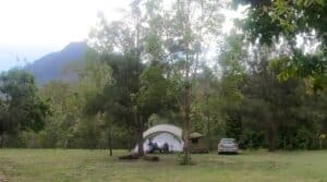 Best things to do in Rathdowney - Queensland Travel Guide