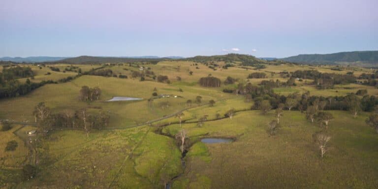 Best things to do in Rathdowney - Queensland Travel Guide