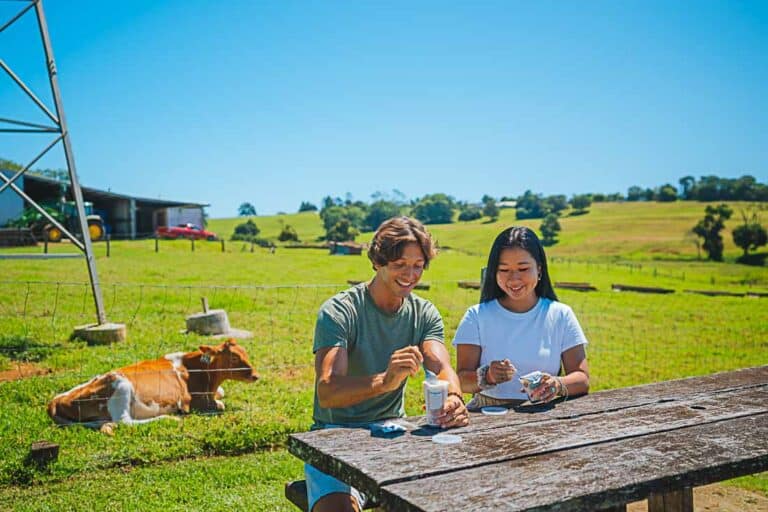 Best things to do in the Glass House Mountains and Beerwah - Queensland ...