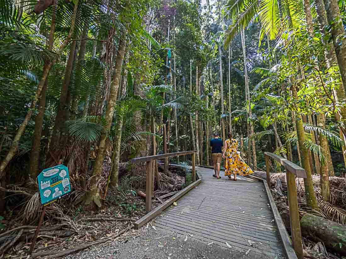 Best things to do in Maleny - Queensland Travel Guide