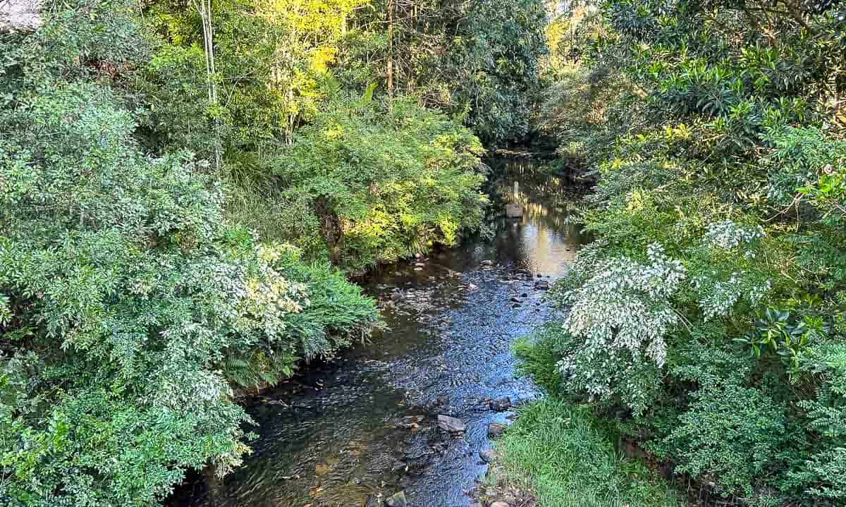 Best things to do in Maleny - Queensland Travel Guide