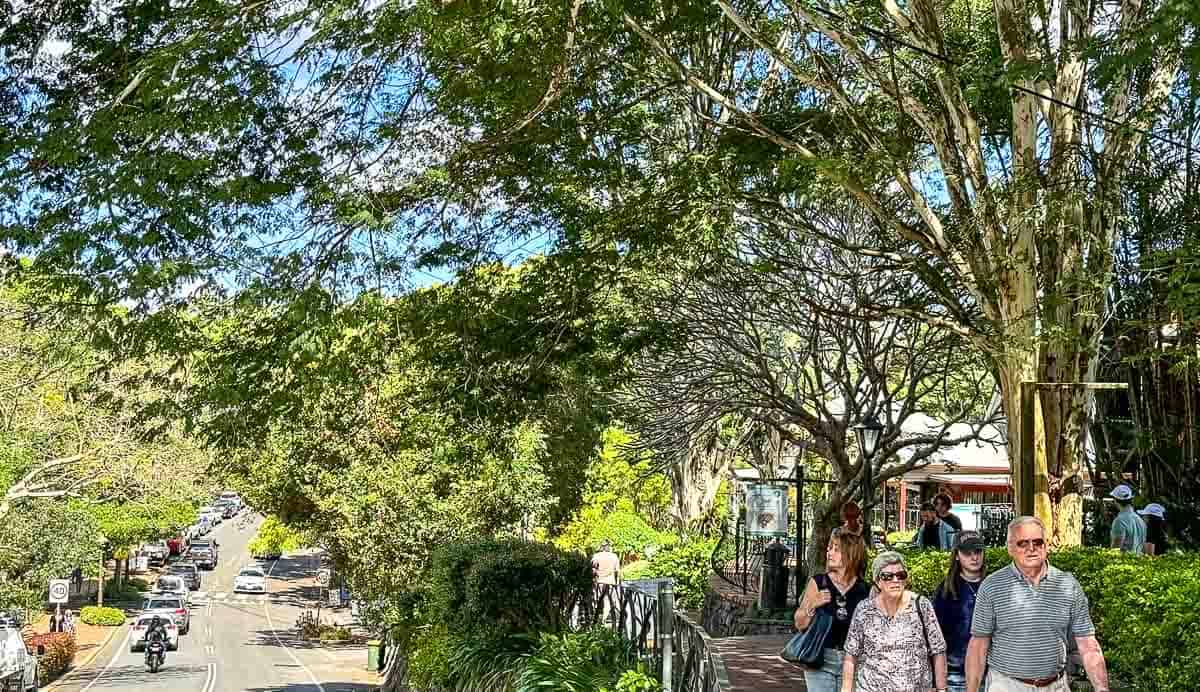 Best things to do in Montville - Queensland Travel Guide