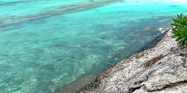 12 of the Best Islands to Visit in Queensland - Queensland Travel Guide