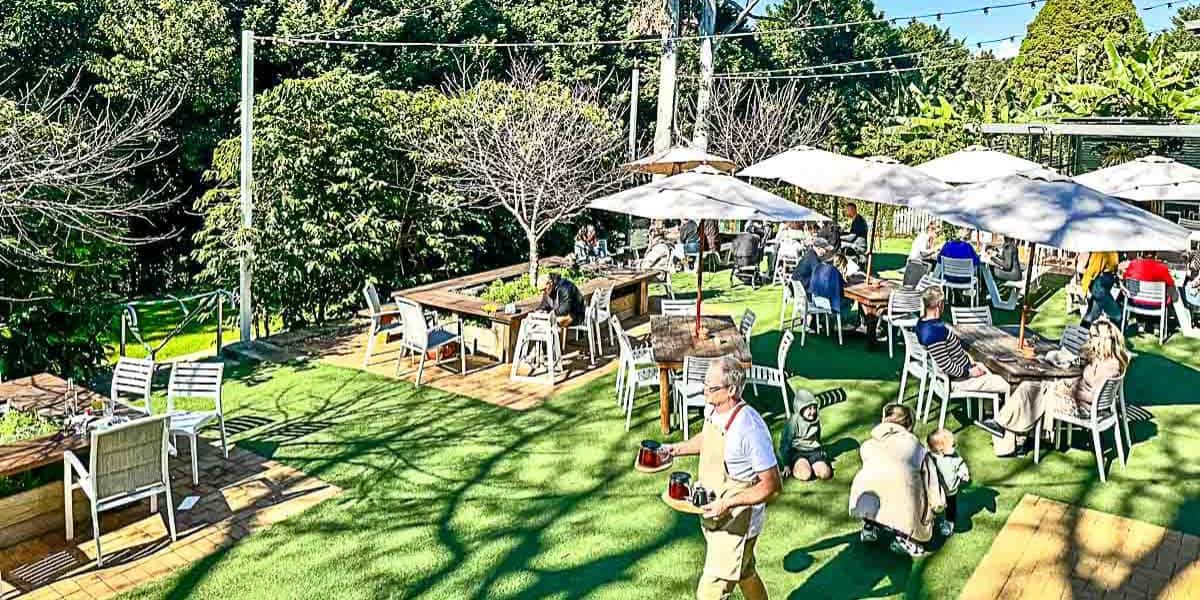 Best things to do in Mount Tamborine - Queensland Travel Guide