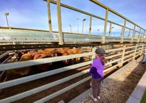 12 of the Best Outback Towns to Visit in Queensland - Queensland Travel ...