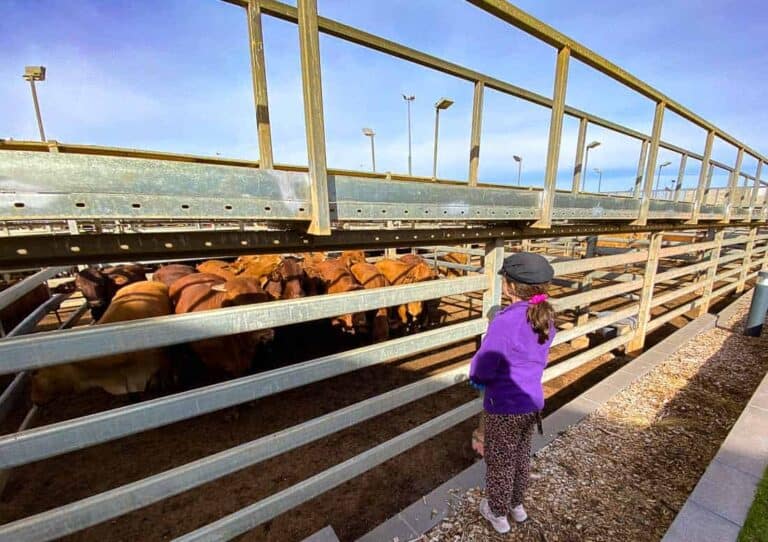 12 of the Best Outback Towns to Visit in Queensland - Queensland Travel ...