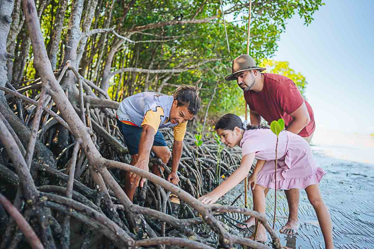 Best things to do in the Daintree Rainforest - Queensland Travel Guide