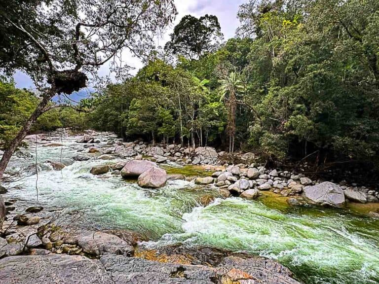 Visiting Mossman Gorge in the Daintree - Queensland Travel Guide