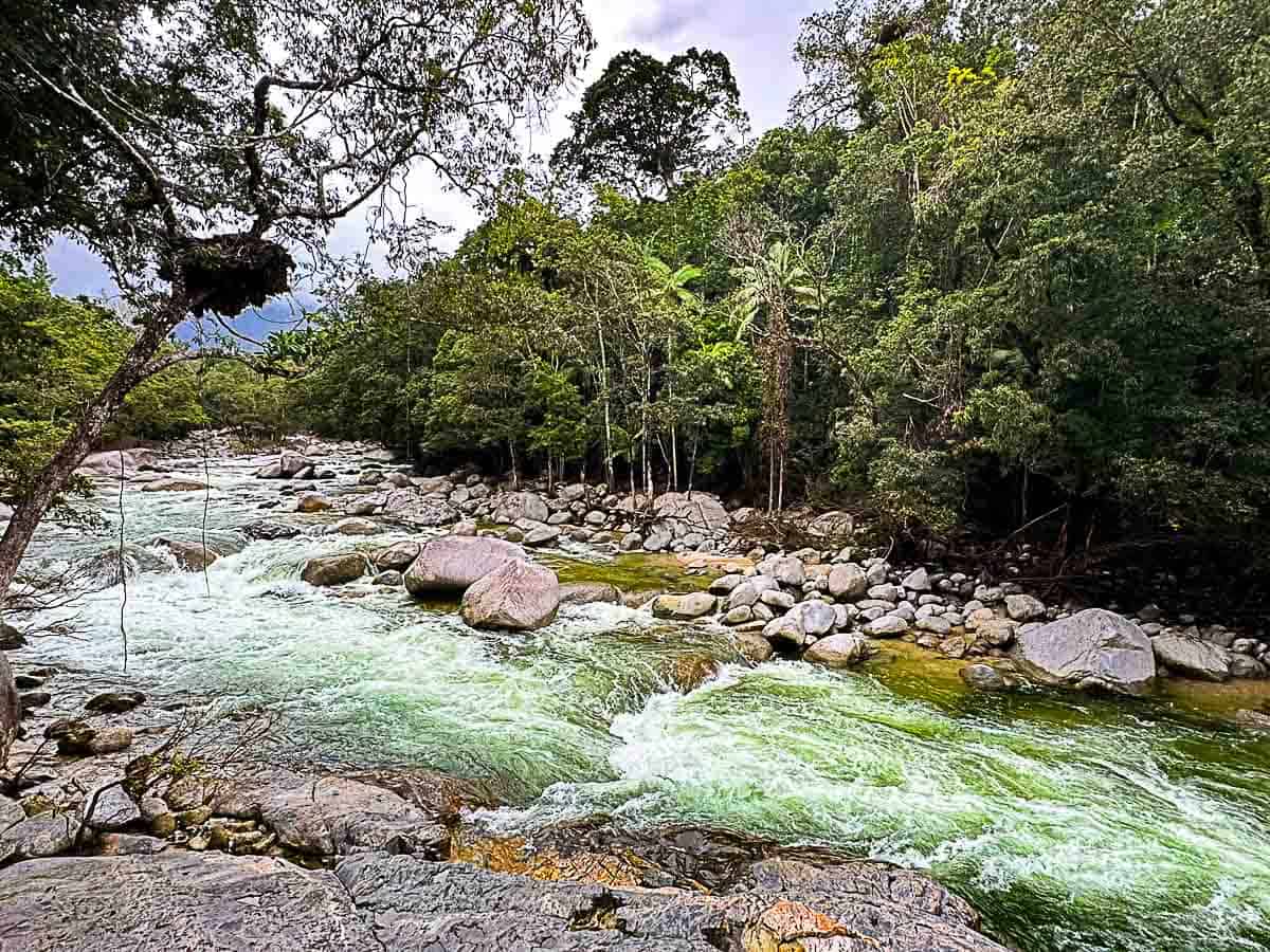 Visiting Mossman Gorge in the Daintree - Queensland Travel Guide