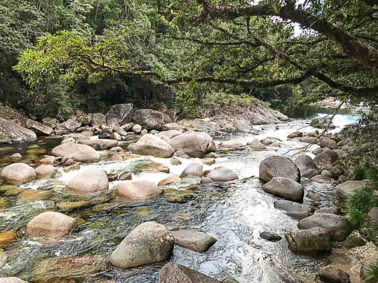 Visiting Mossman Gorge in the Daintree - Queensland Travel Guide