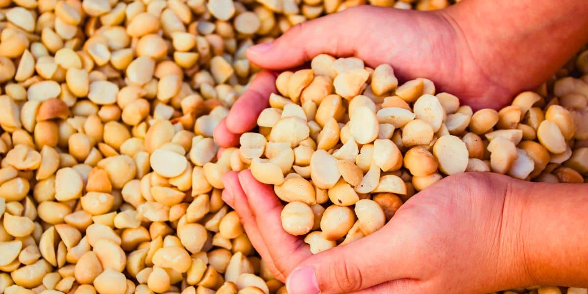 Must-Try Food in Queensland for First-Time Visitors - Queensland Travel ...