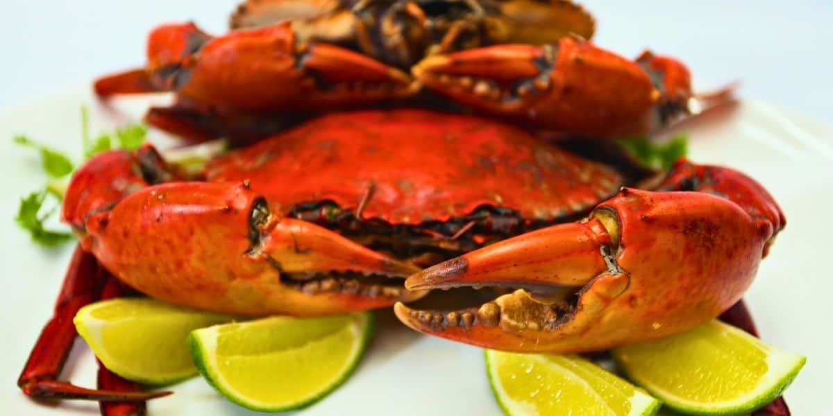 Must-Try Food in Queensland for First-Time Visitors - Queensland Travel ...