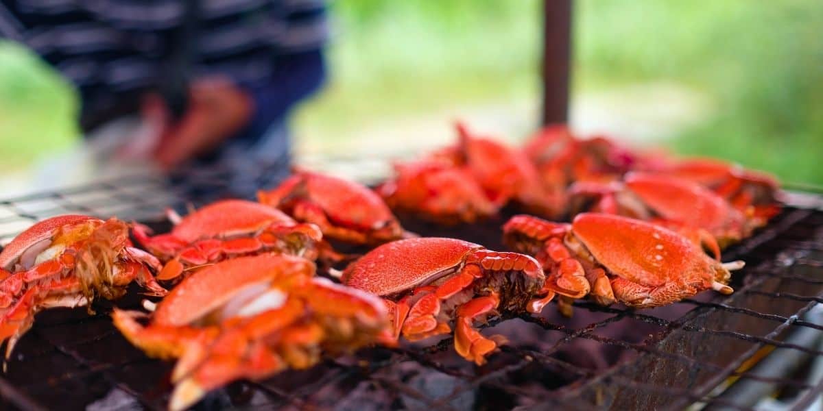 Must-Try Food in Queensland for First-Time Visitors - Queensland Travel ...