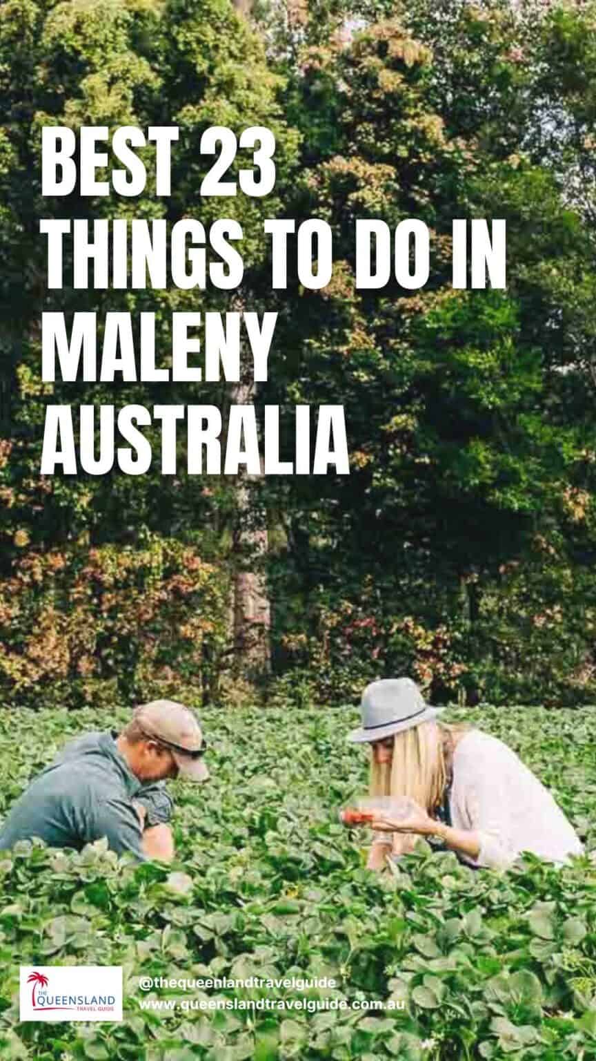 Best things to do in Maleny - Queensland Travel Guide