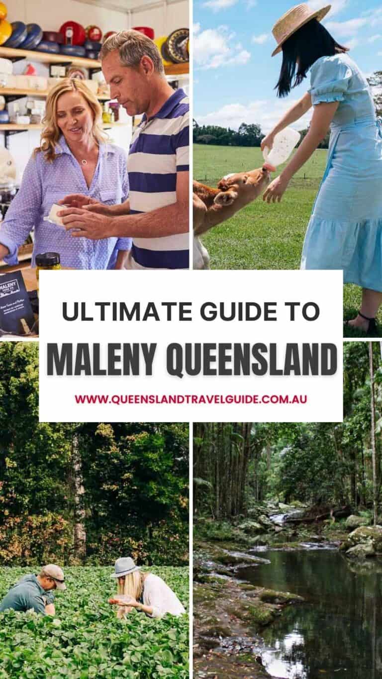 Best things to do in Maleny - Queensland Travel Guide