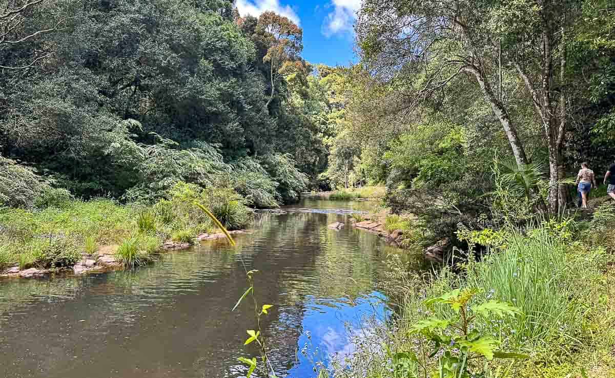 Visiting Gardners Falls, Maleny - Queensland Travel Guide