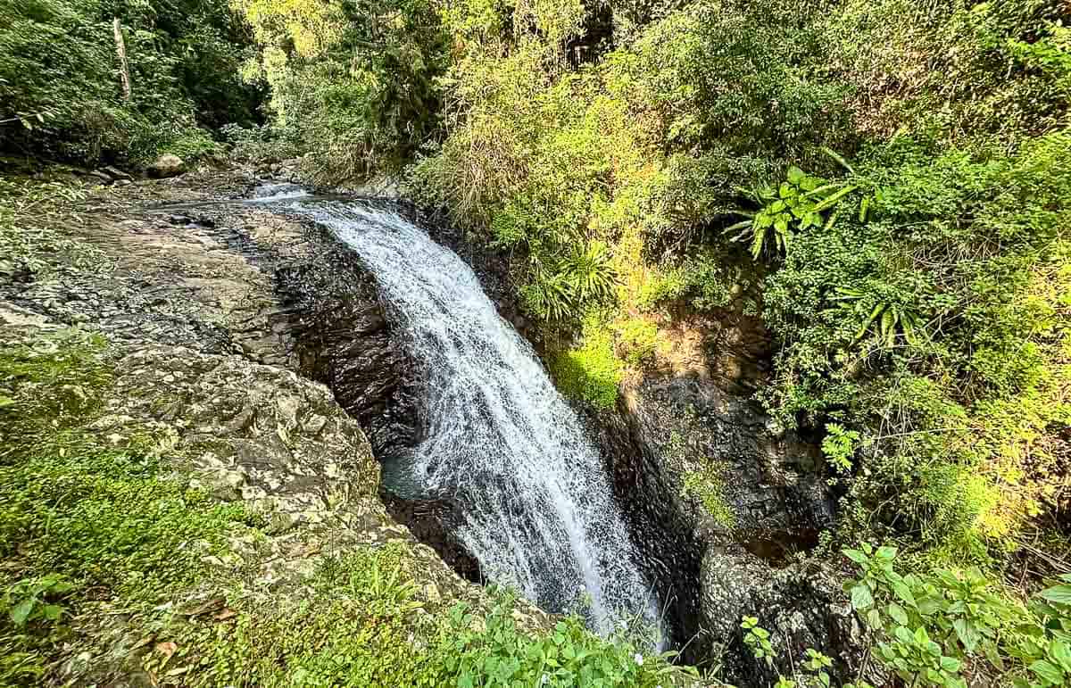 Visiting Natural Bridge, Springbrook - Queensland Travel Guide